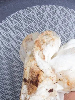 Composting Fat and Oil Residues from the Kitchen | Tumbleweed