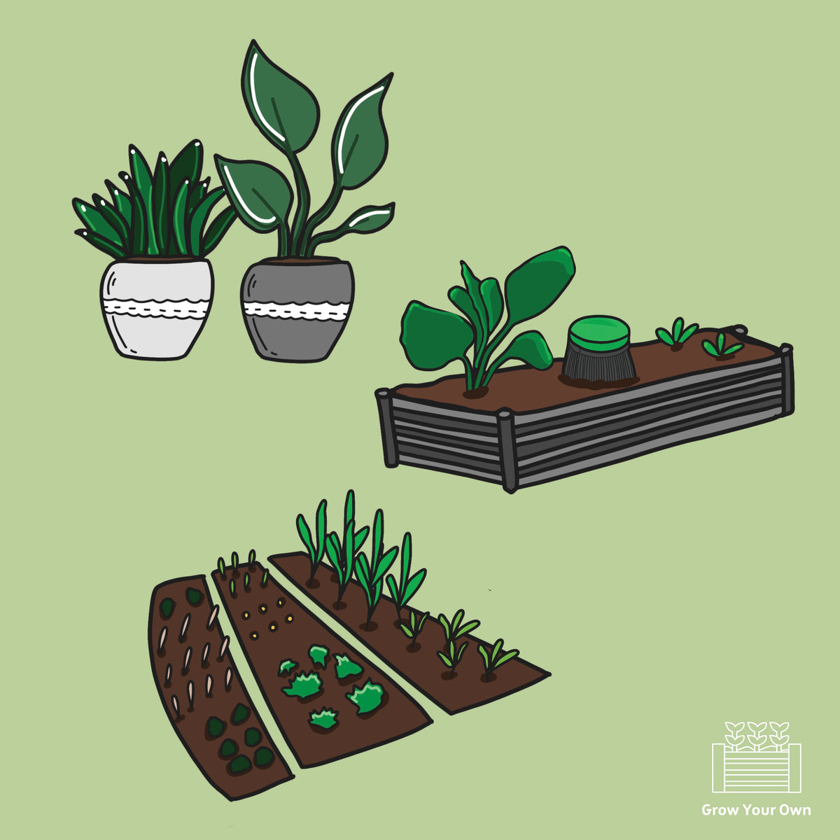 Grow Your Own Food at Home | Tumbleweed