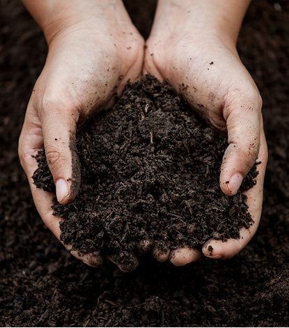 Making your own Soil and Potting Mix | Tumbleweed