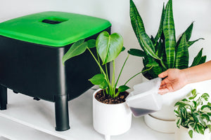 How to use your worm liquid and castings – Tumbleweed