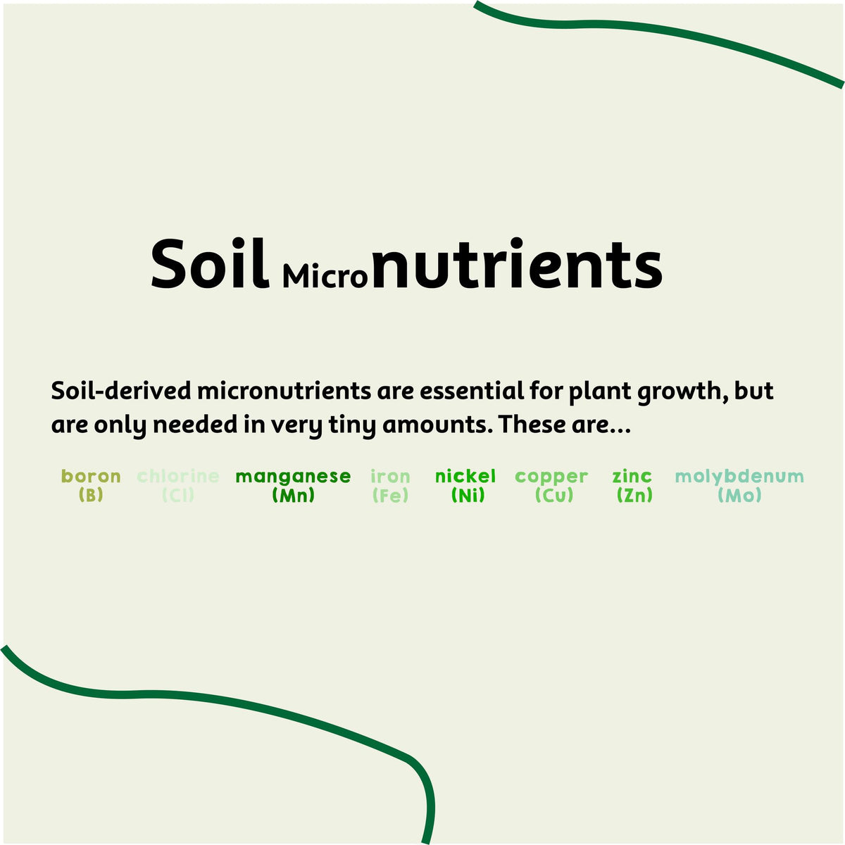 Optimising Soil Micronutrients In Your Compost | Tumbleweed