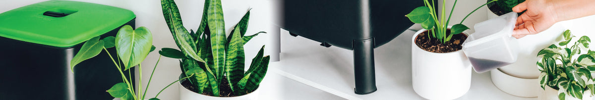 Worm Farming Products | Tumbleweed